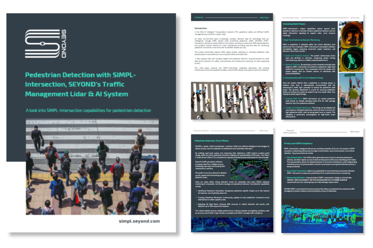 White Paper On Pedestrian Detection